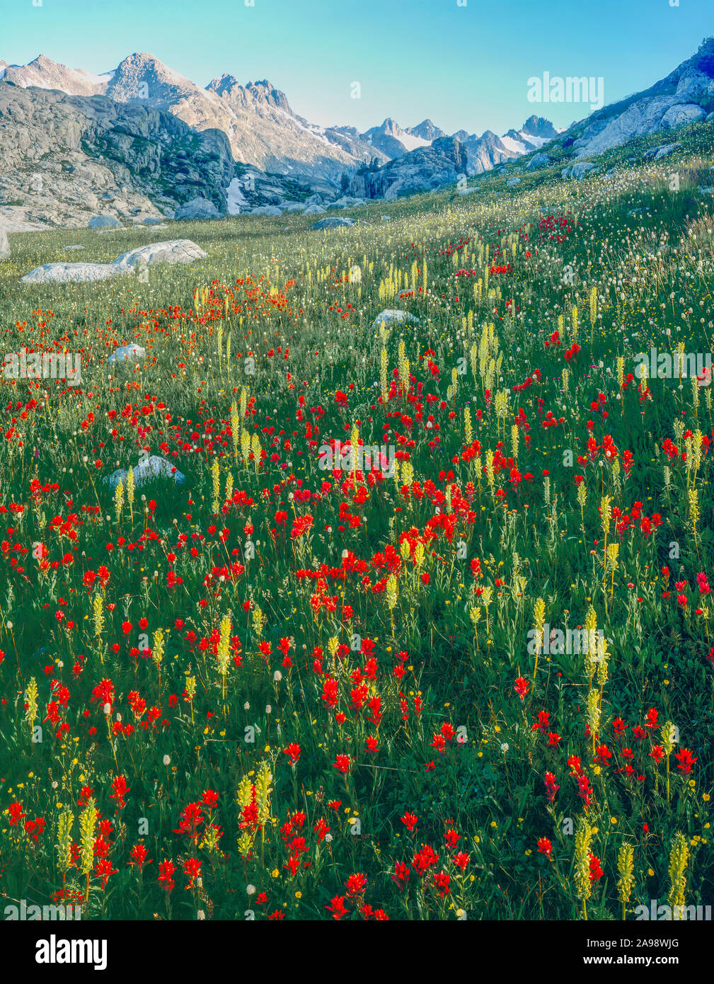 Bridger teton national forest hi-res stock photography and images - Alamy
