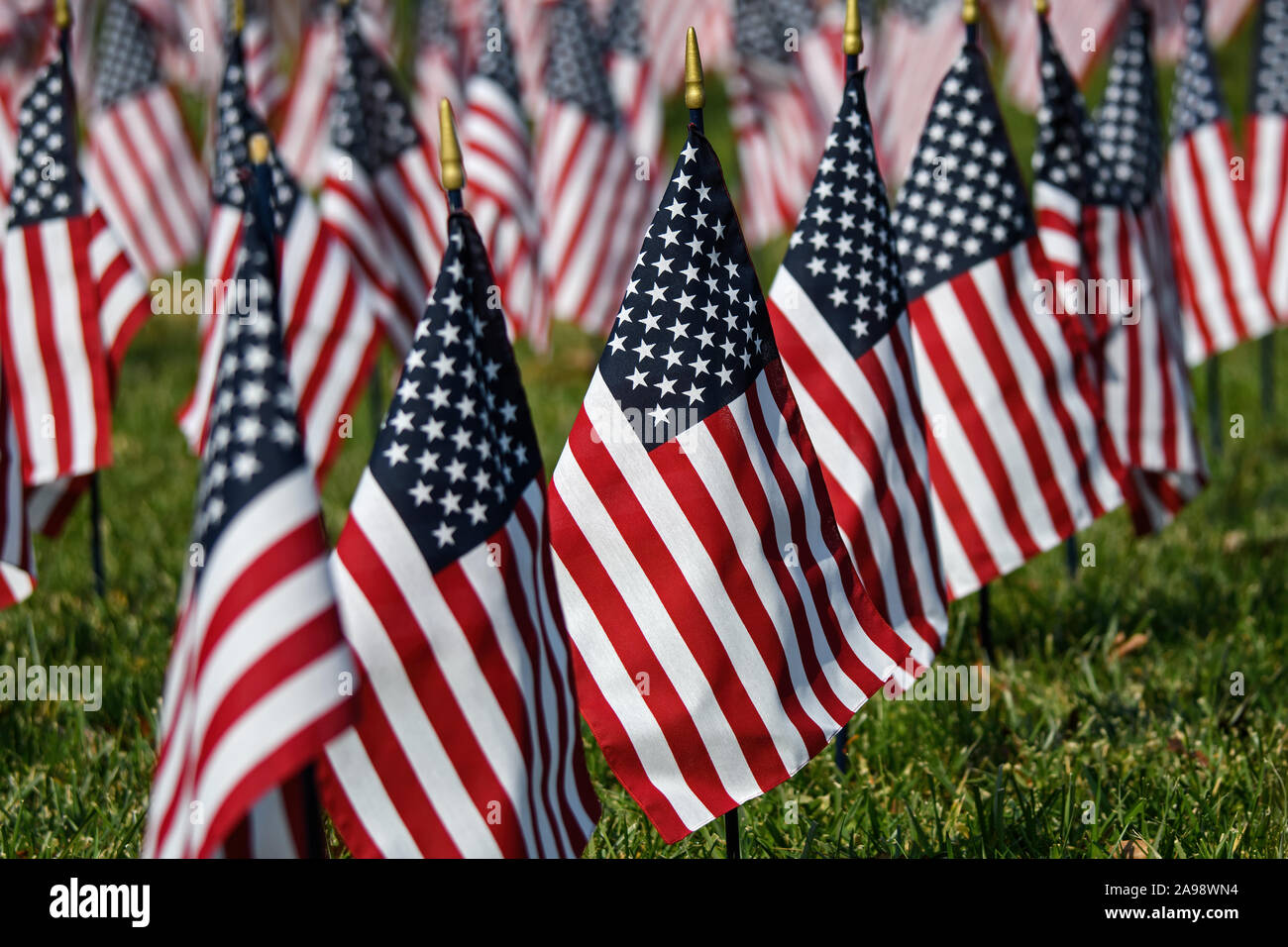 American Flag in a sea of flags on a bright sunny day. The U.S. flag ...