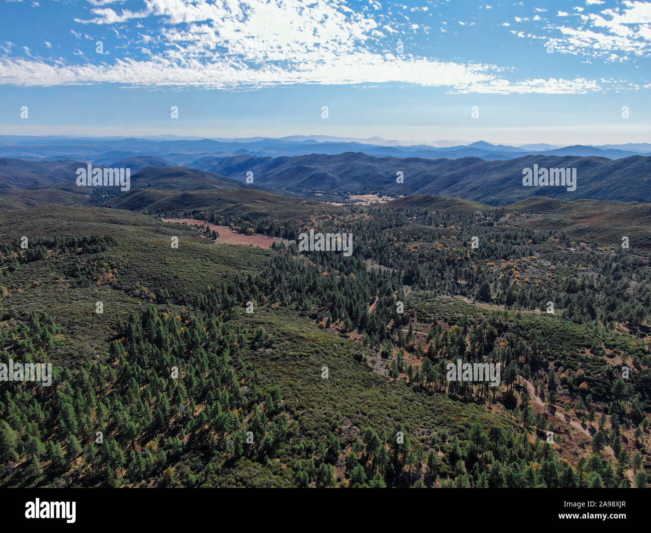Aerial view of pine in Pine Valley during dry fall season, San Diego ...