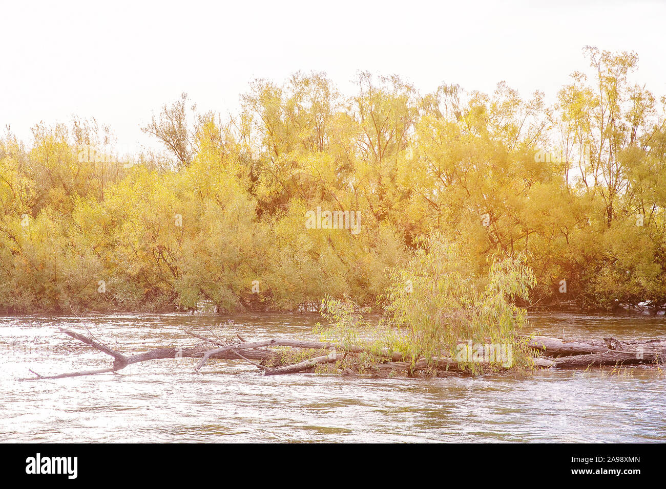 Autumn colored trees beside hi-res stock photography and images - Alamy