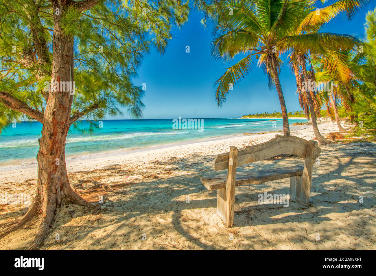 Palm trees, Lighthouse Beach, the Bahamas, Carribbean Sea, Atlantic ...