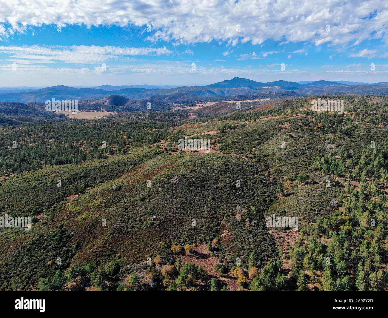 Aerial view of pine in Pine Valley during dry fall season, San Diego ...