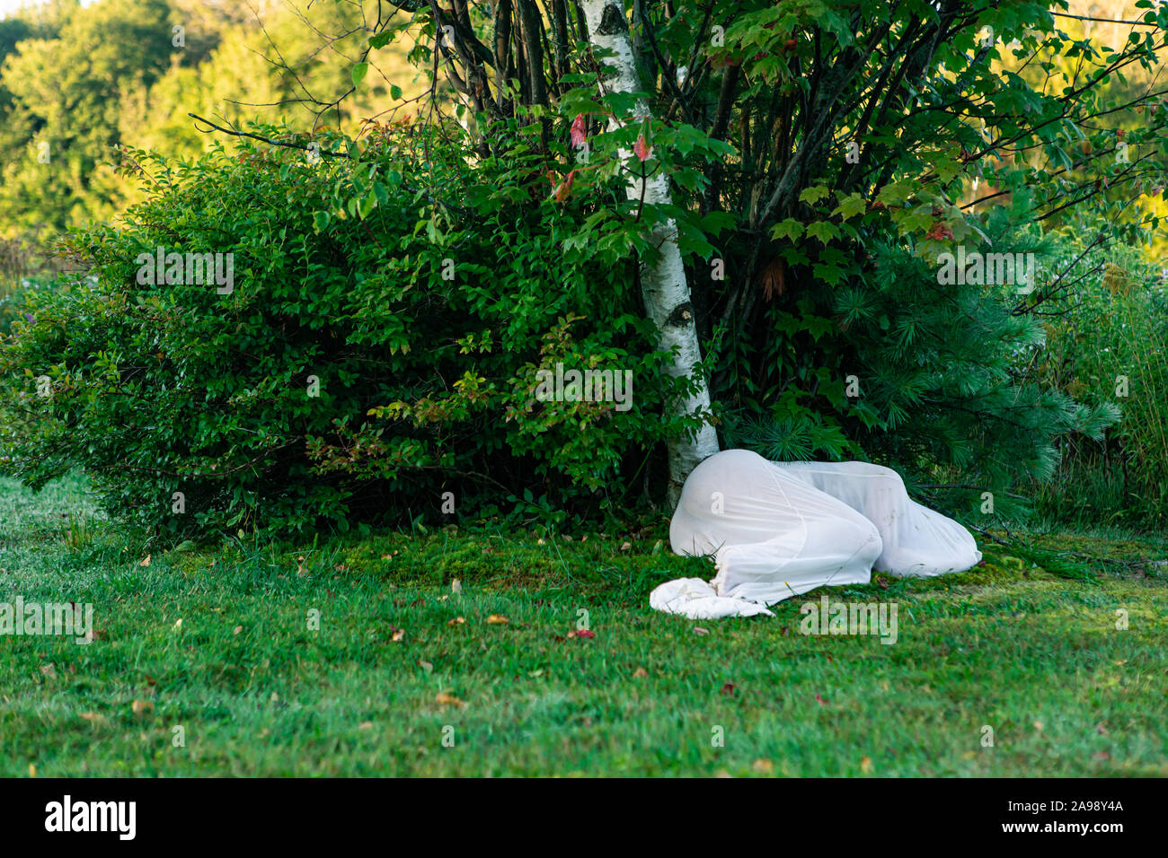 Photo of a person all packed up in white cloth lying next to a tree on ...