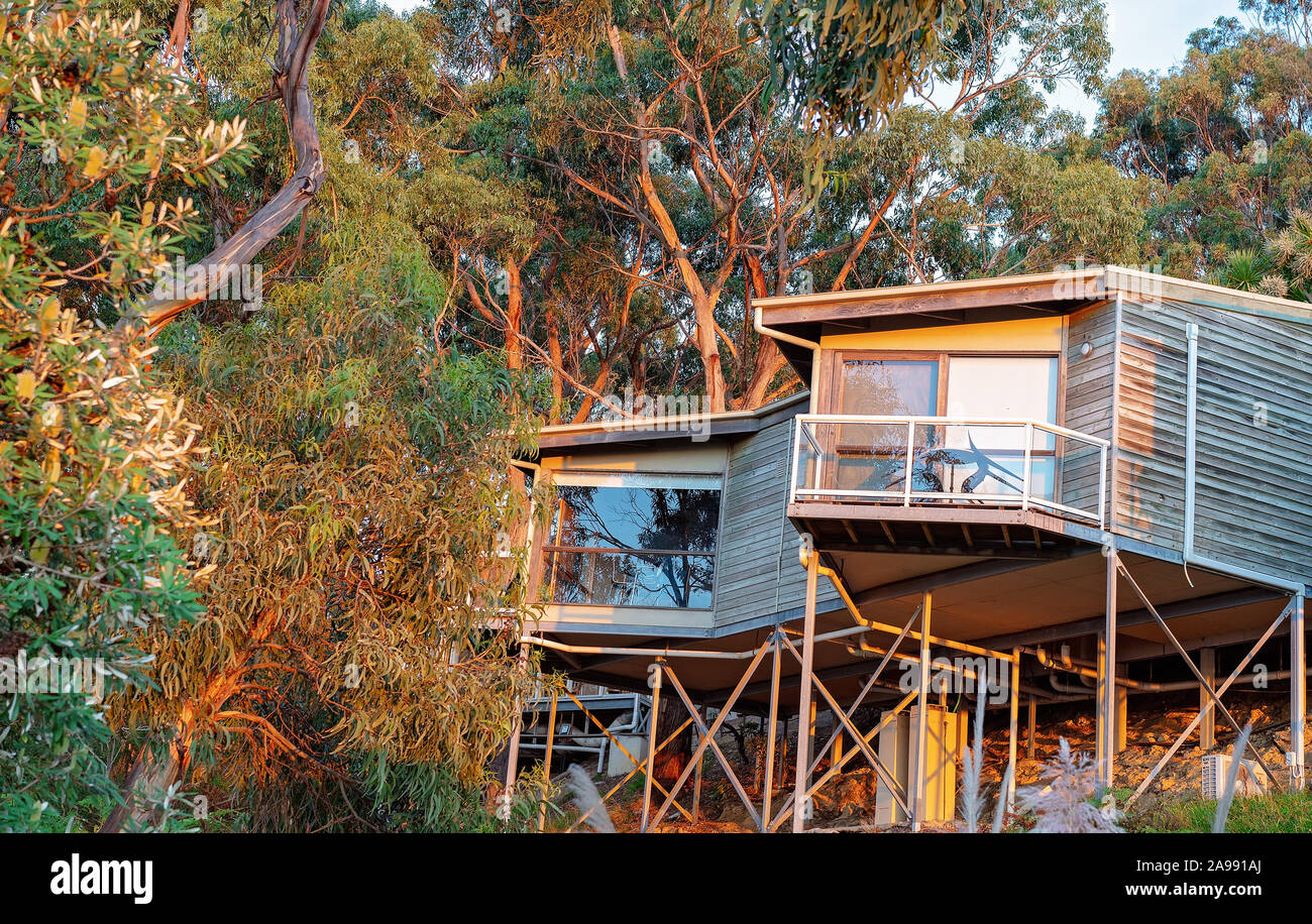 Triangle shaped rooms suspended on steel posts high amongst the natural ...
