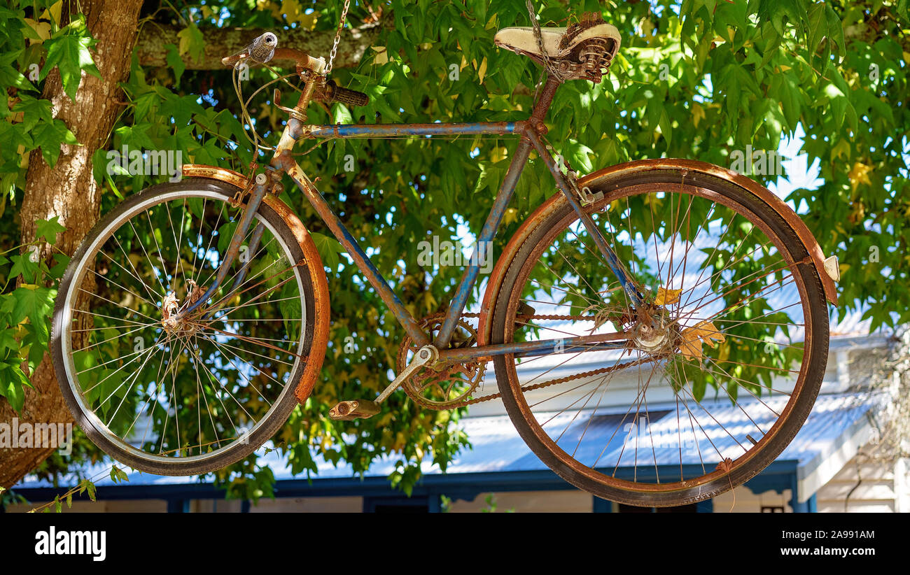 Bicycle hanging tree hi-res stock photography and images - Alamy