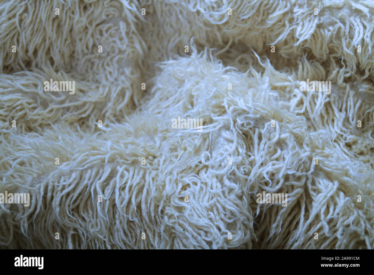 Cozy fluffy background in cream tones. White wool with white top ...