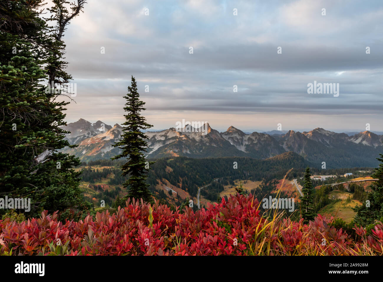 Huckleberry range hi-res stock photography and images - Alamy