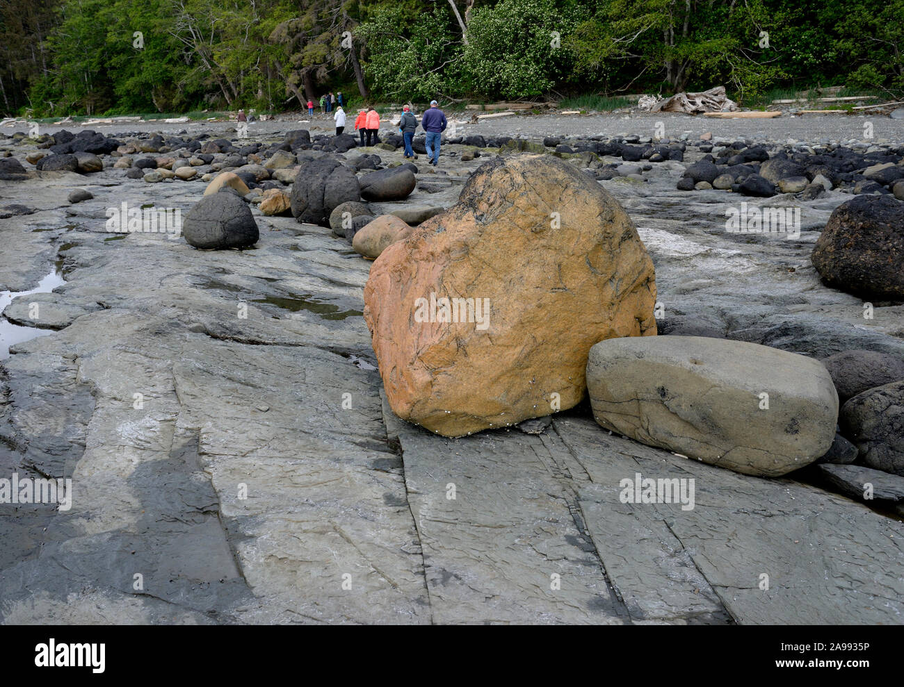 Rocky beach,, Skidegate, Haida Gwaii, British Columbia, Canada Stock ...