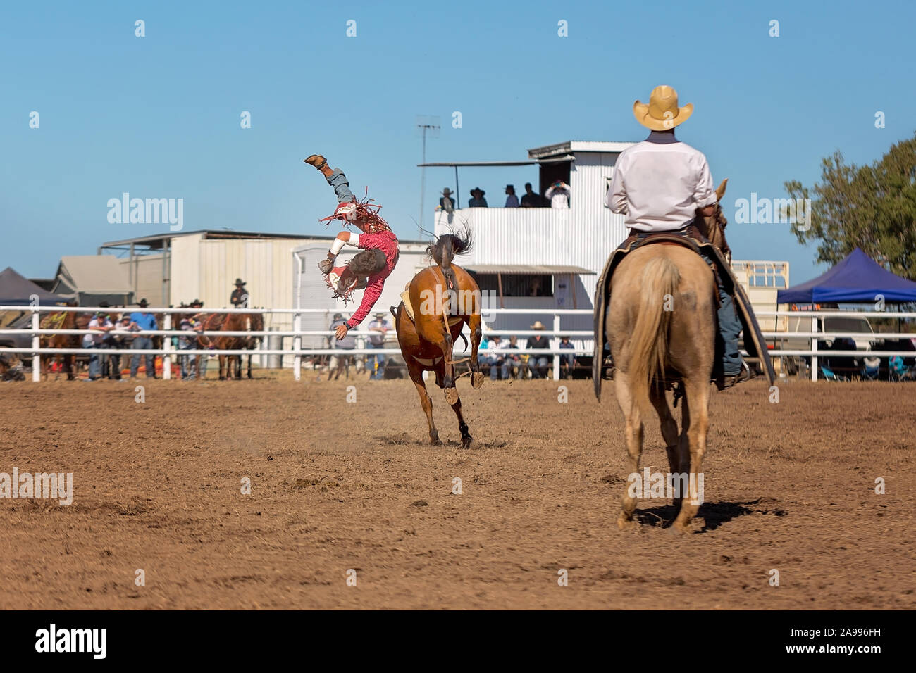 Cowboy rides a bucking horse in bareback bronc event at a country rodeo ...