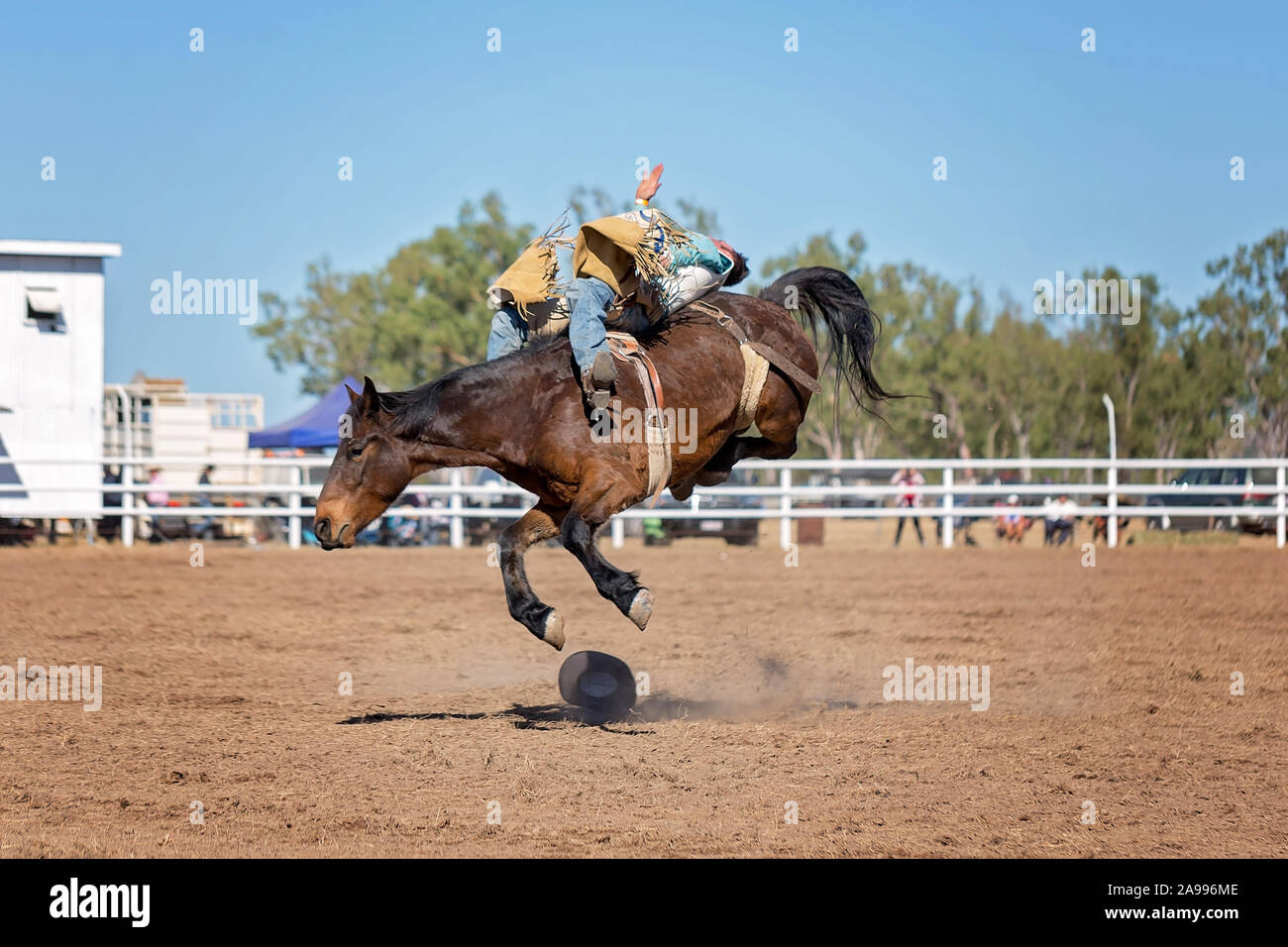 Bucking Bronco Ride Stock High Resolution Stock Photography and Images ...