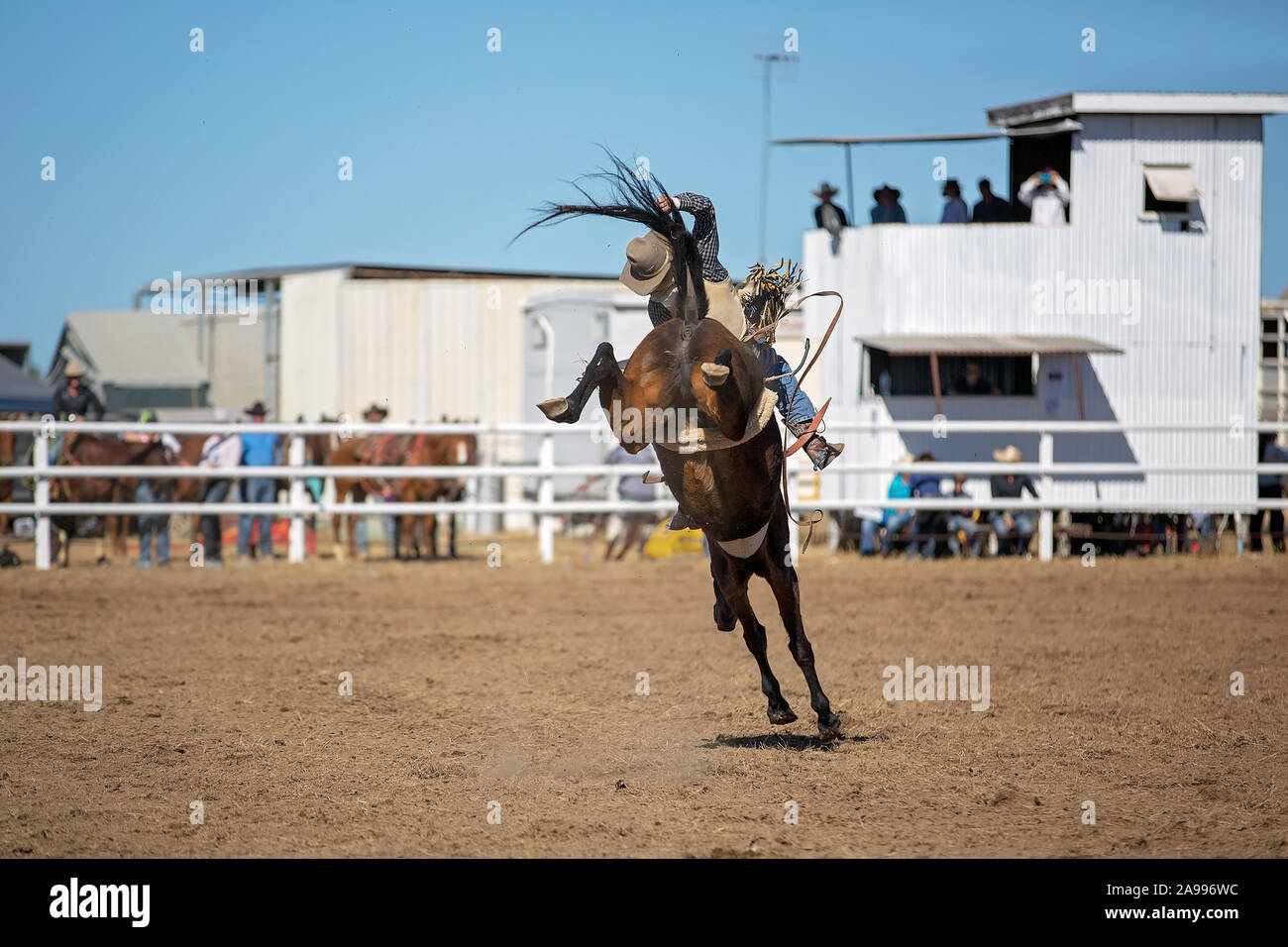 Bareback bronc riding hi-res stock photography and images - Alamy