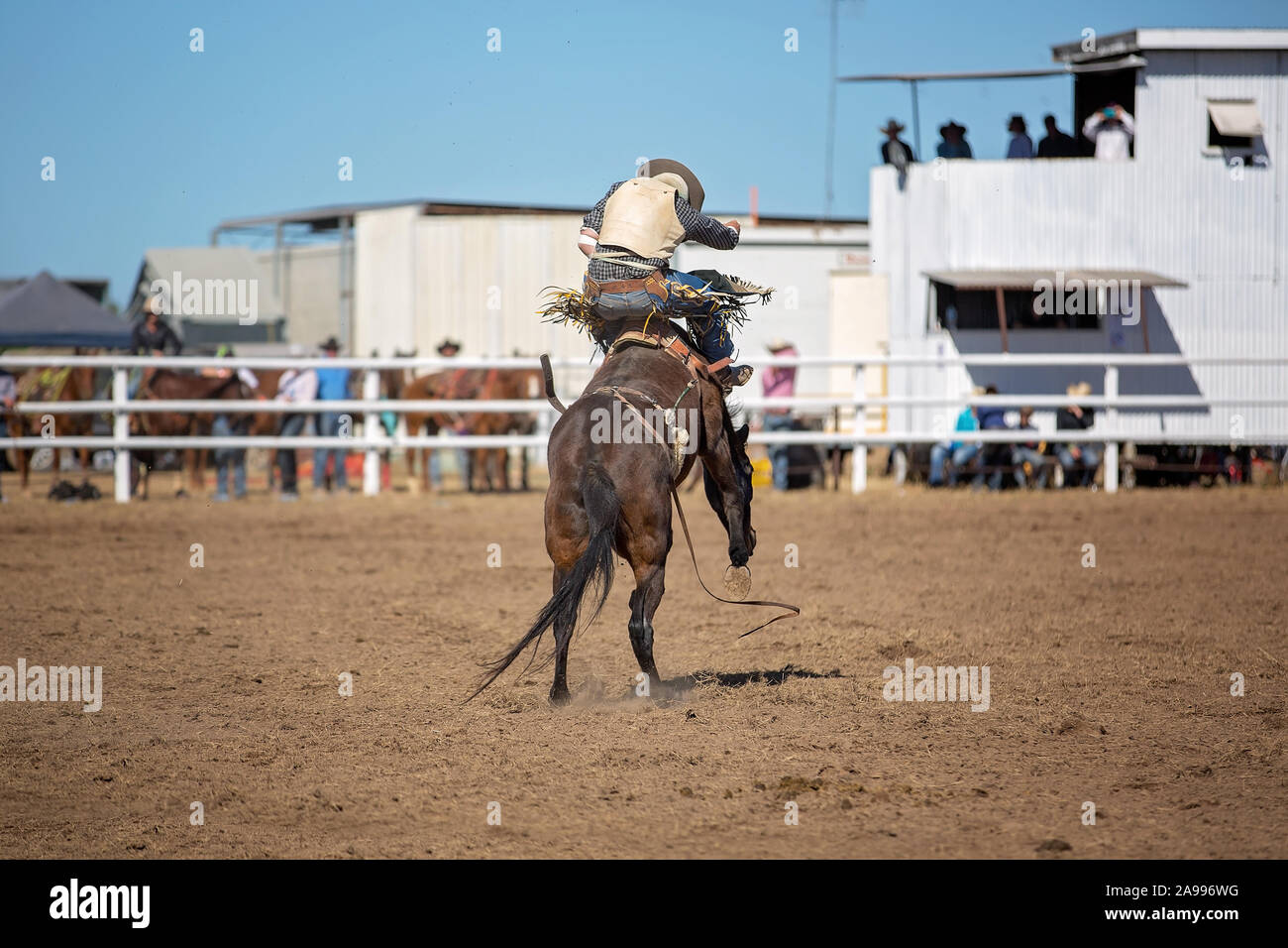 Bucking bronco ride stock hi-res stock photography and images - Alamy