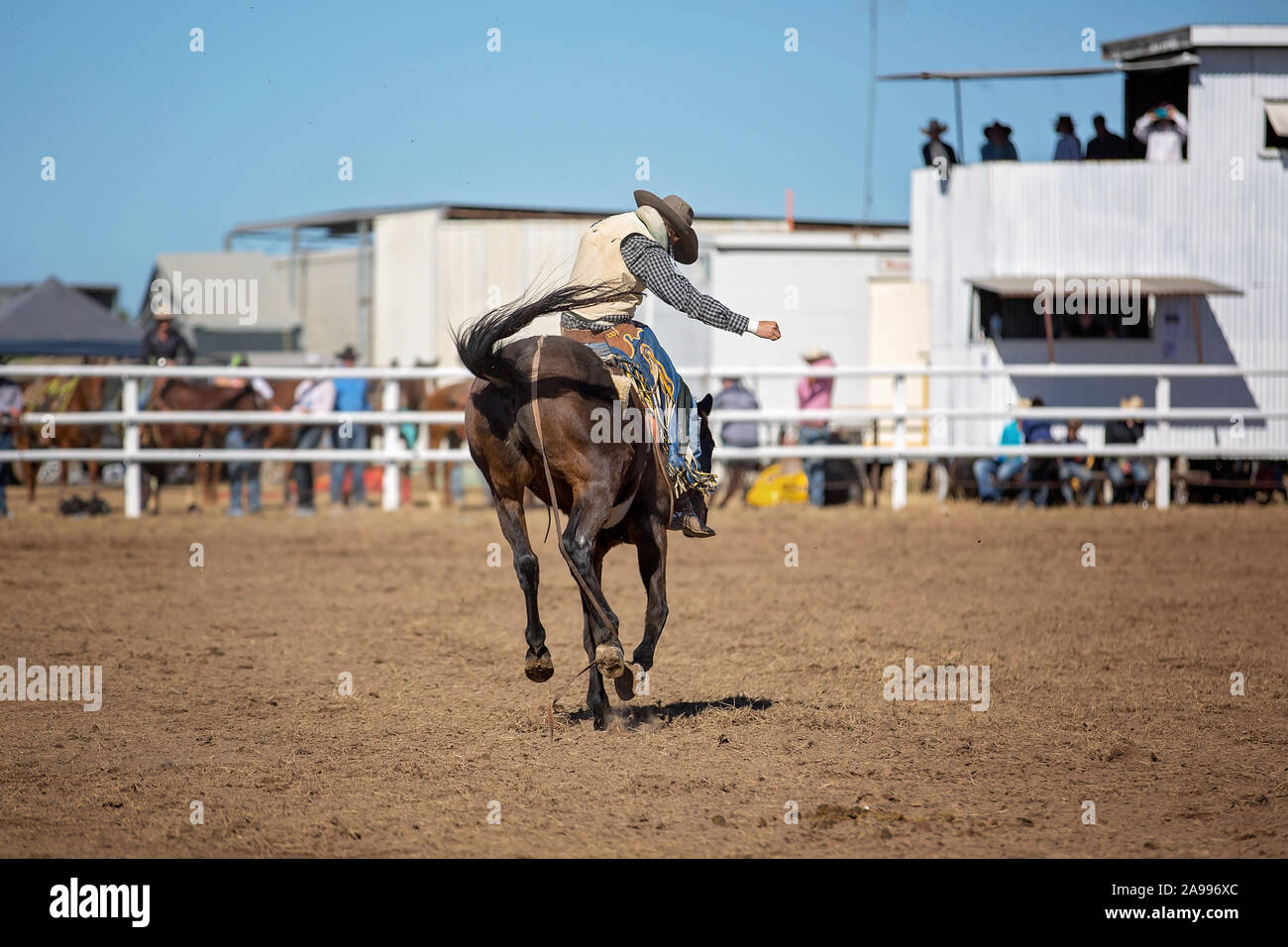 Cowboy rides a bucking horse in bareback bronc event at a country rodeo ...
