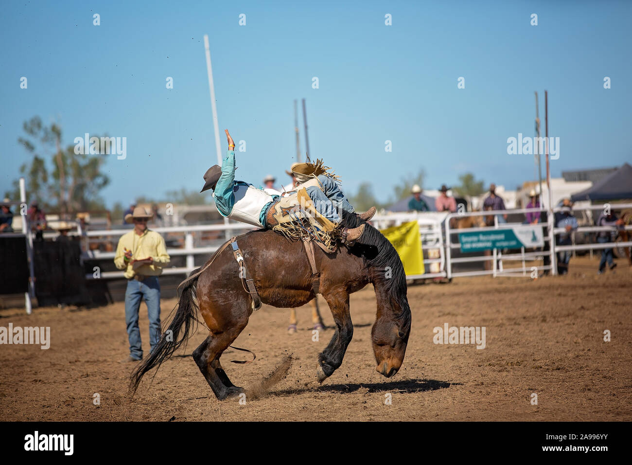 Cowboy rides a bucking horse in bareback bronc event at a country rodeo ...