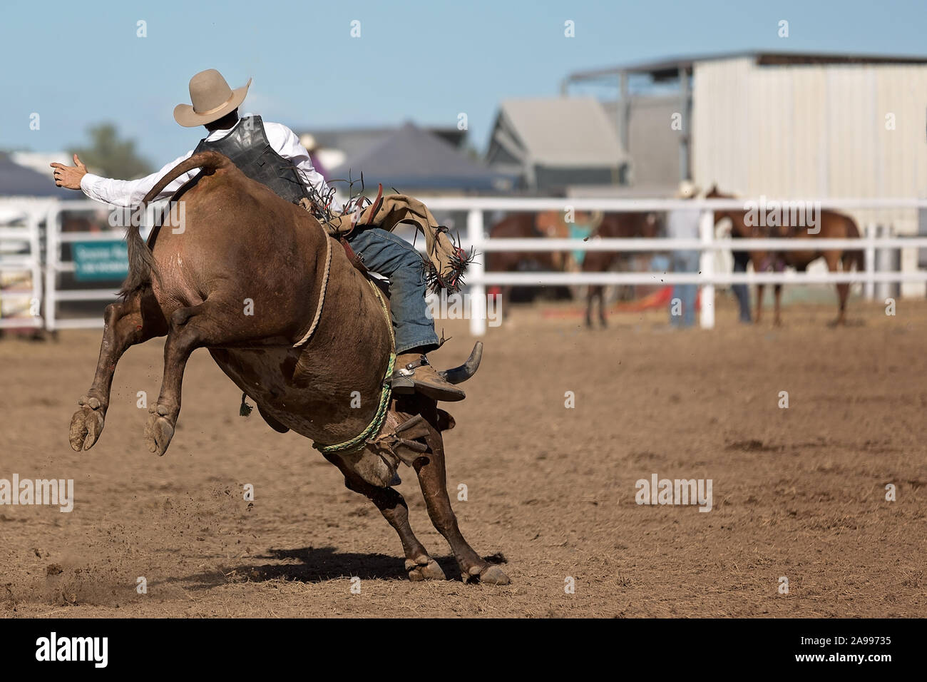 A cowboy competing in bucking bull riding at a country rodeo Stock ...