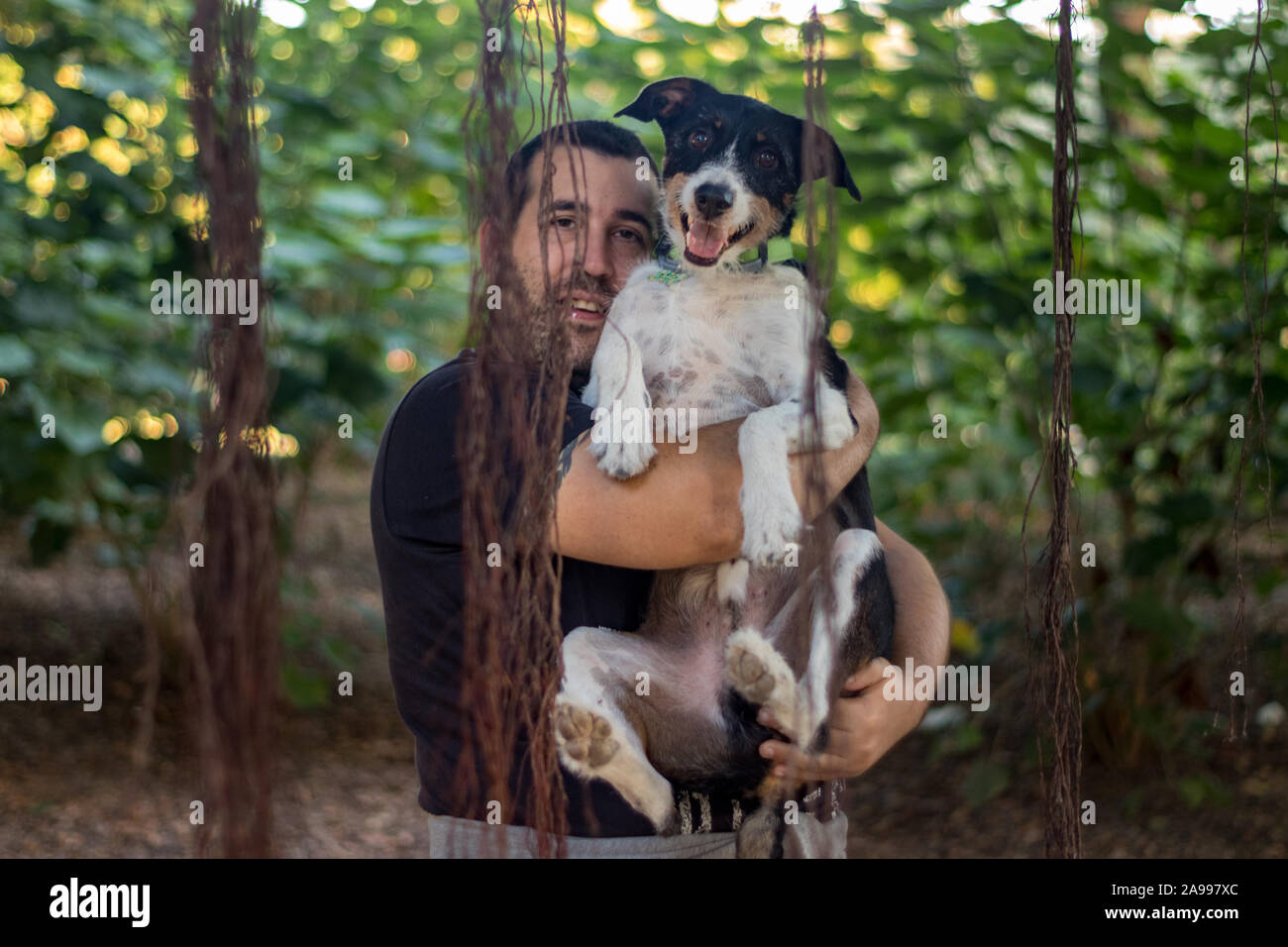 happy dog lovingly hugging its owner Stock Photo - Alamy