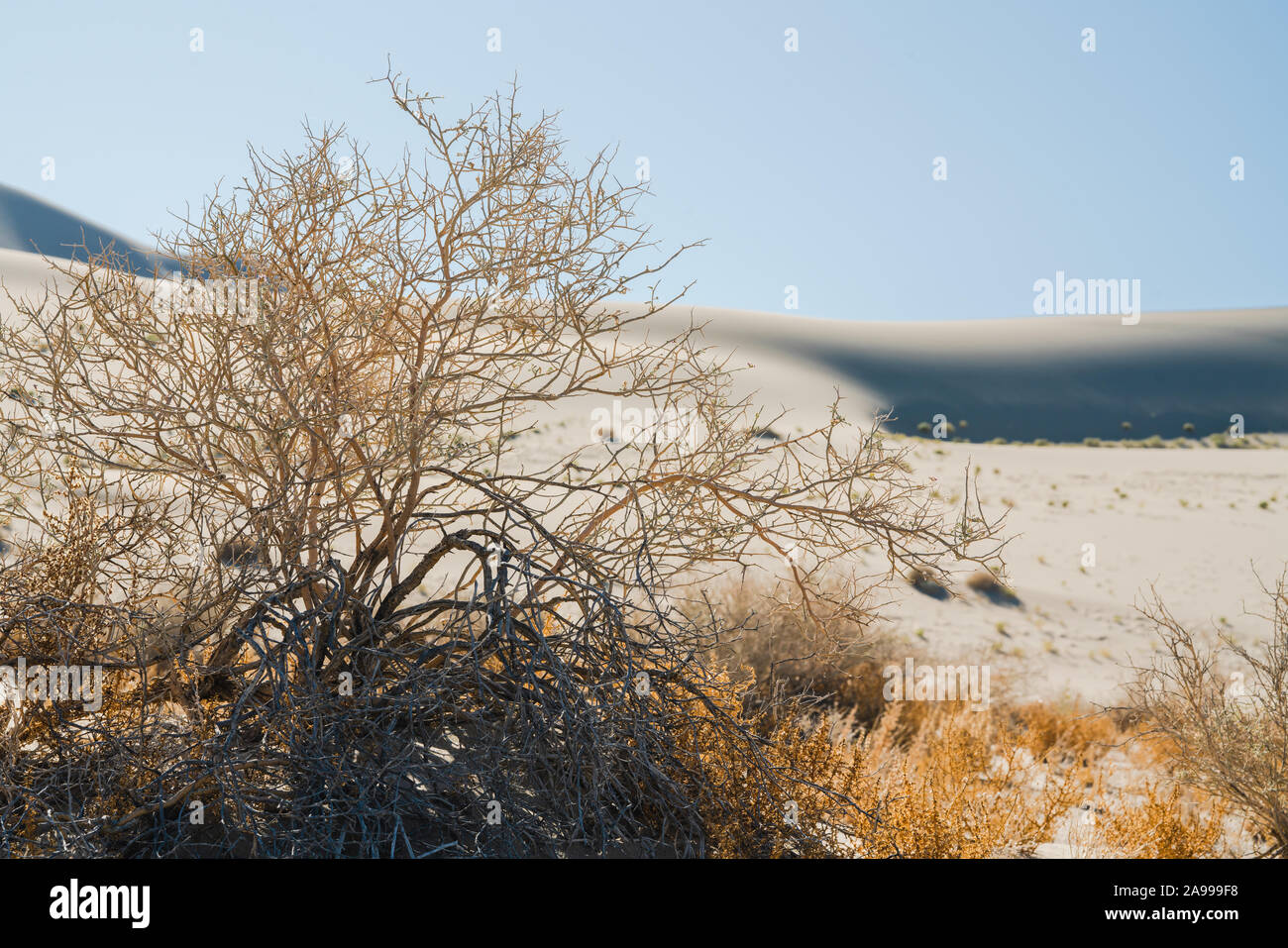 Death Valley, the hottest place on Earth. Eureka Dunes Stock Photo - Alamy