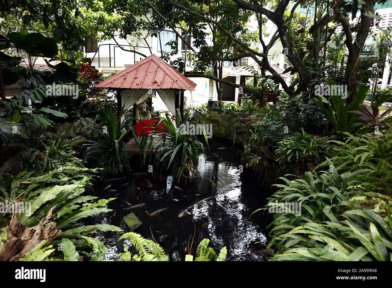 ANTIPOLO CITY, PHILIPPINES - NOVEMBER 13, 2019: Beautiful outdoor ...