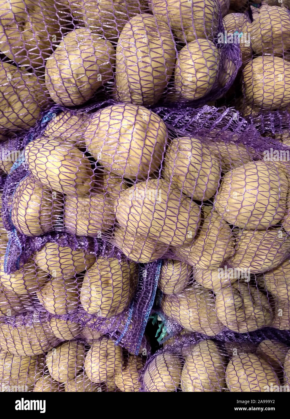 Several food nets with potatoes in the market. Potatoes in food nets as ...