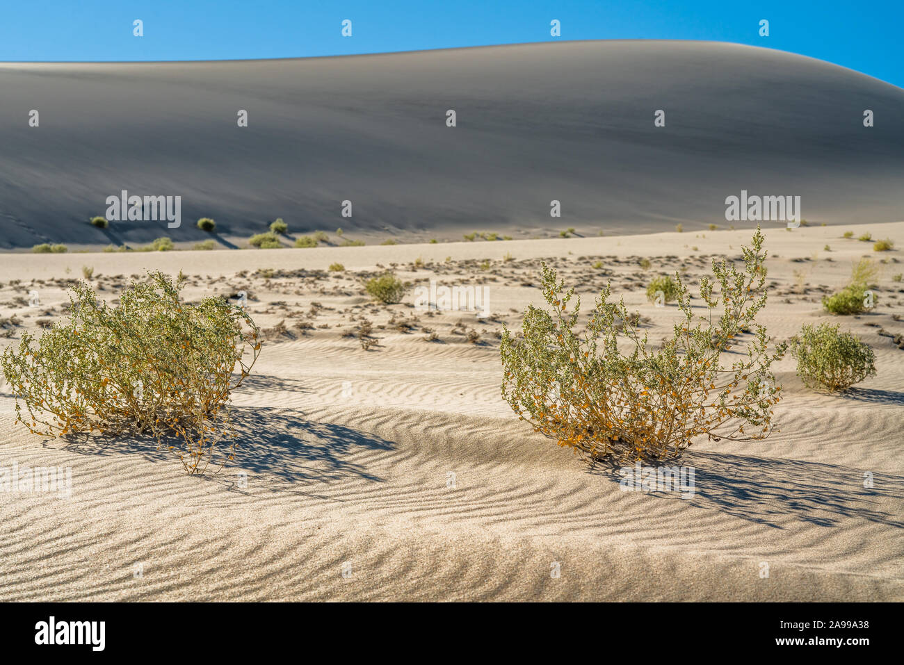Death Valley National Park, the hottest place on Earth. Eureka sand ...