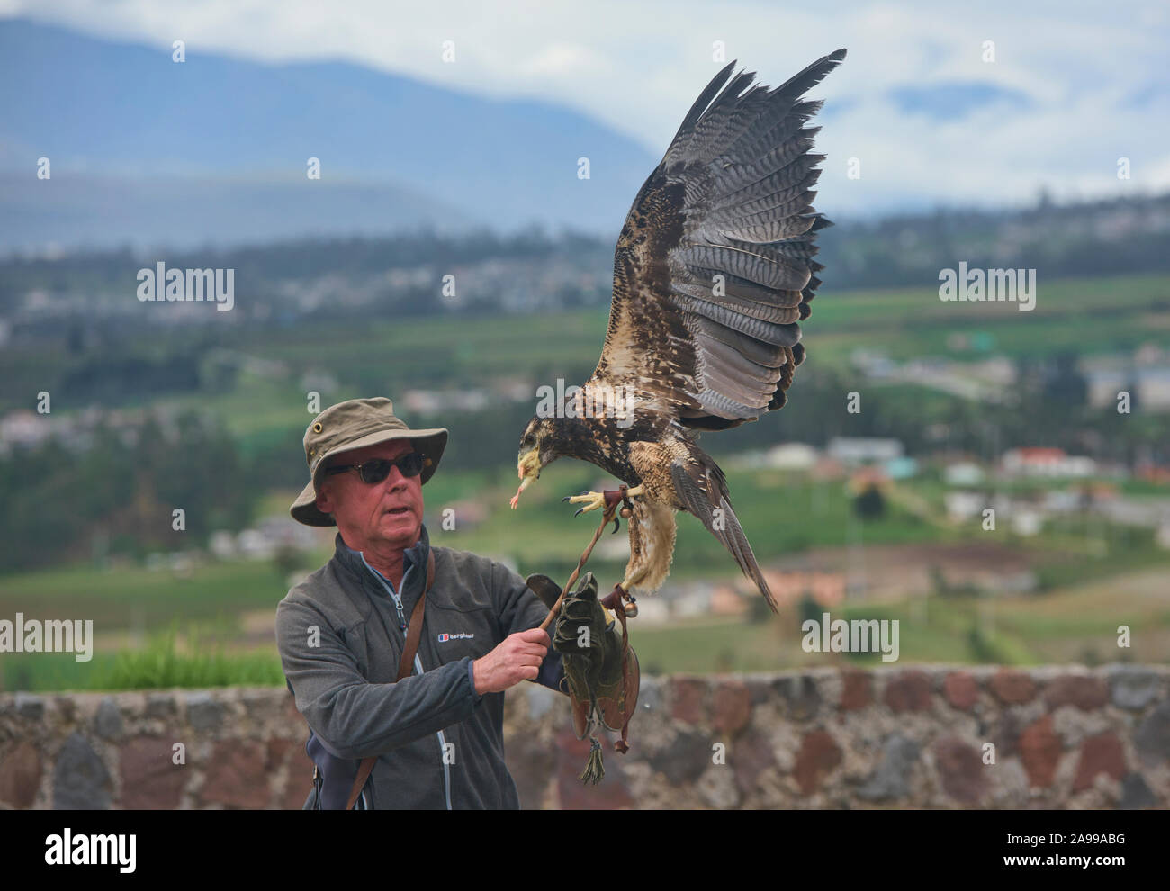 Andean Condor High Resolution Stock Photography and Images - Alamy