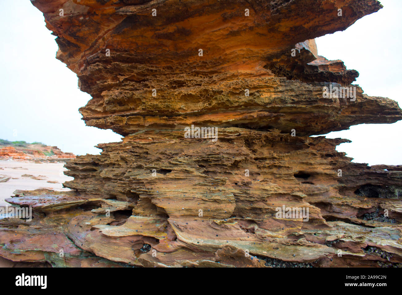 Dinosaur footprints broome hi-res stock photography and images - Alamy