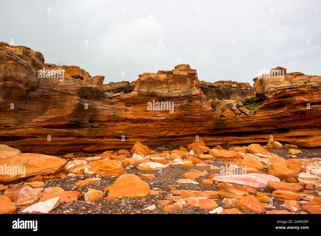 Dinosaur footprints broome hi-res stock photography and images - Alamy