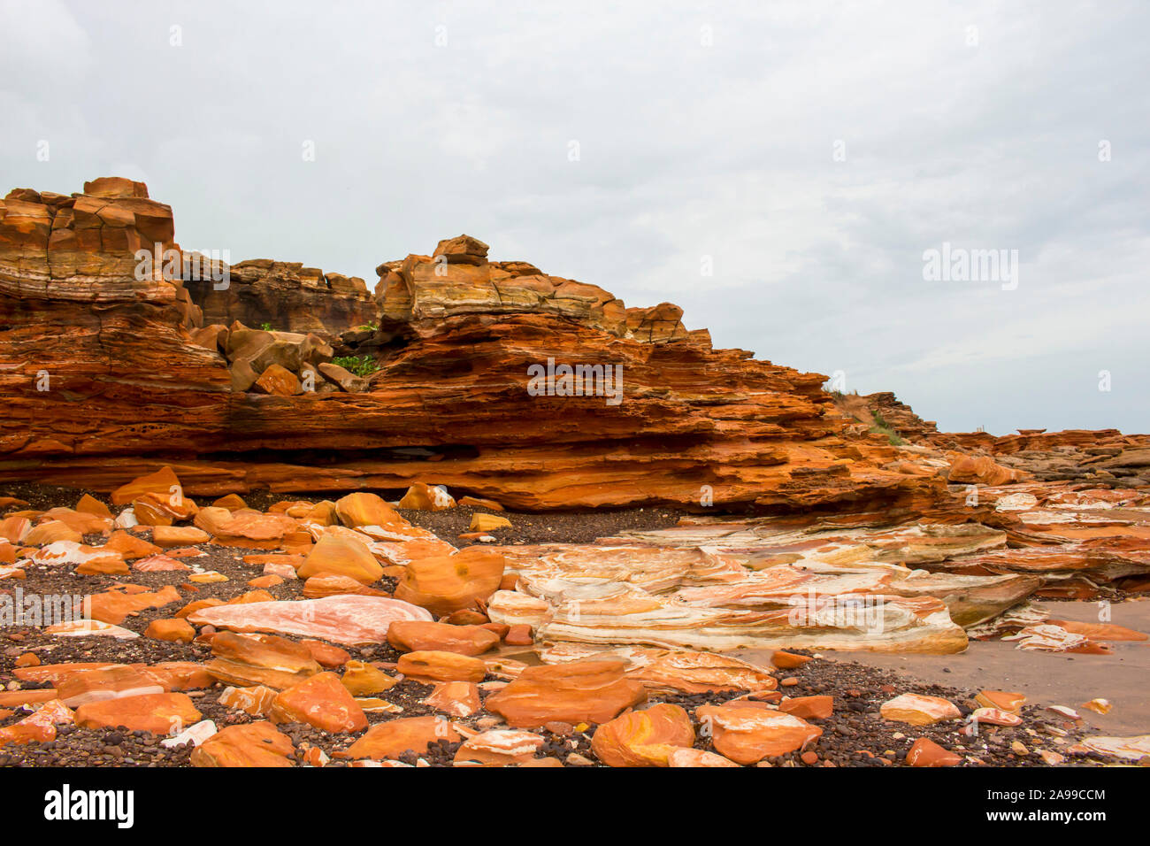 Dinosaur footprints australia hi-res stock photography and images - Alamy