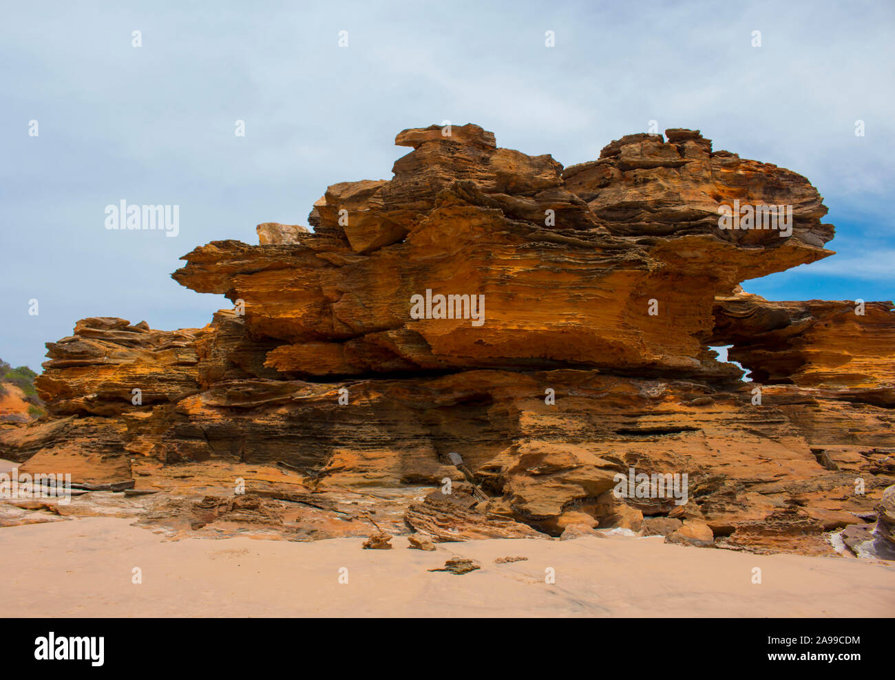 Dinosaur footprints australia hi-res stock photography and images - Alamy