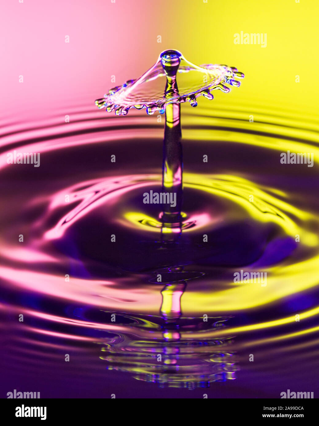 Coloured water drops released at the precise time to collide and form a ...