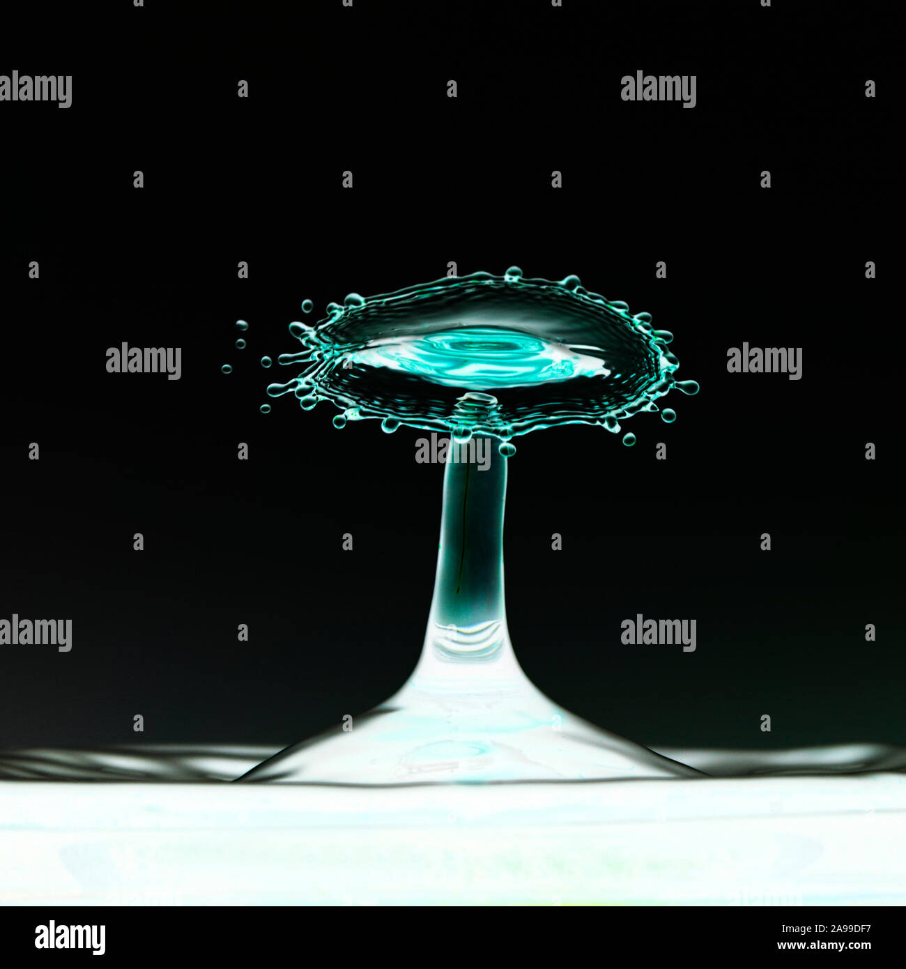 A water drop collision in the shape of an umbrella against a black ...