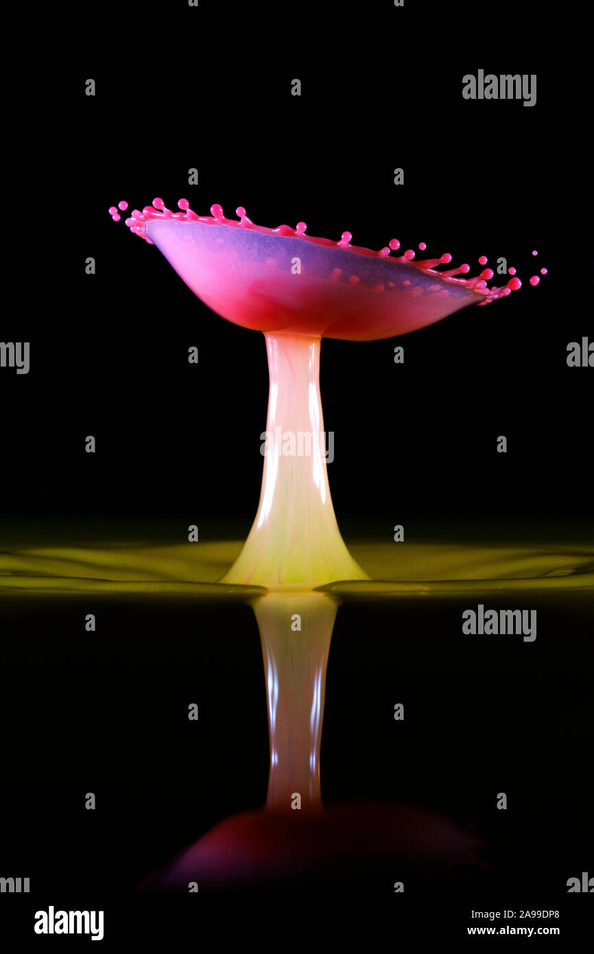 Red liquid is dropped into a tank of yellow water and two drops collide ...