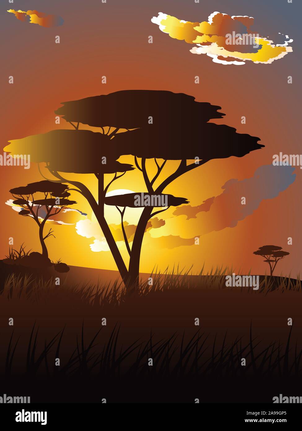 Colorful sunset scene, african landscape with silhouette of trees Stock ...