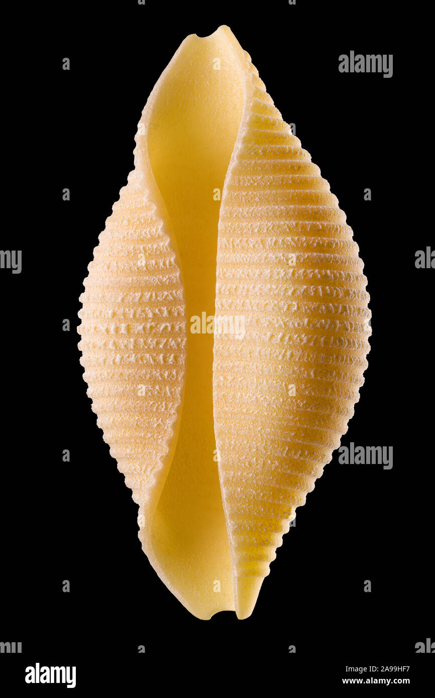 Macro photo of conchiglie pasta shell isolated on black background ...