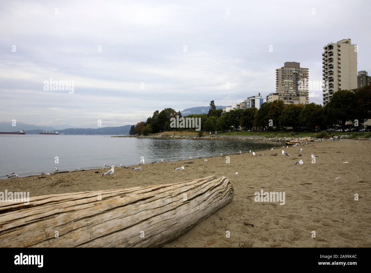 The English Bay, Vancouver, America Stock Photo - Alamy