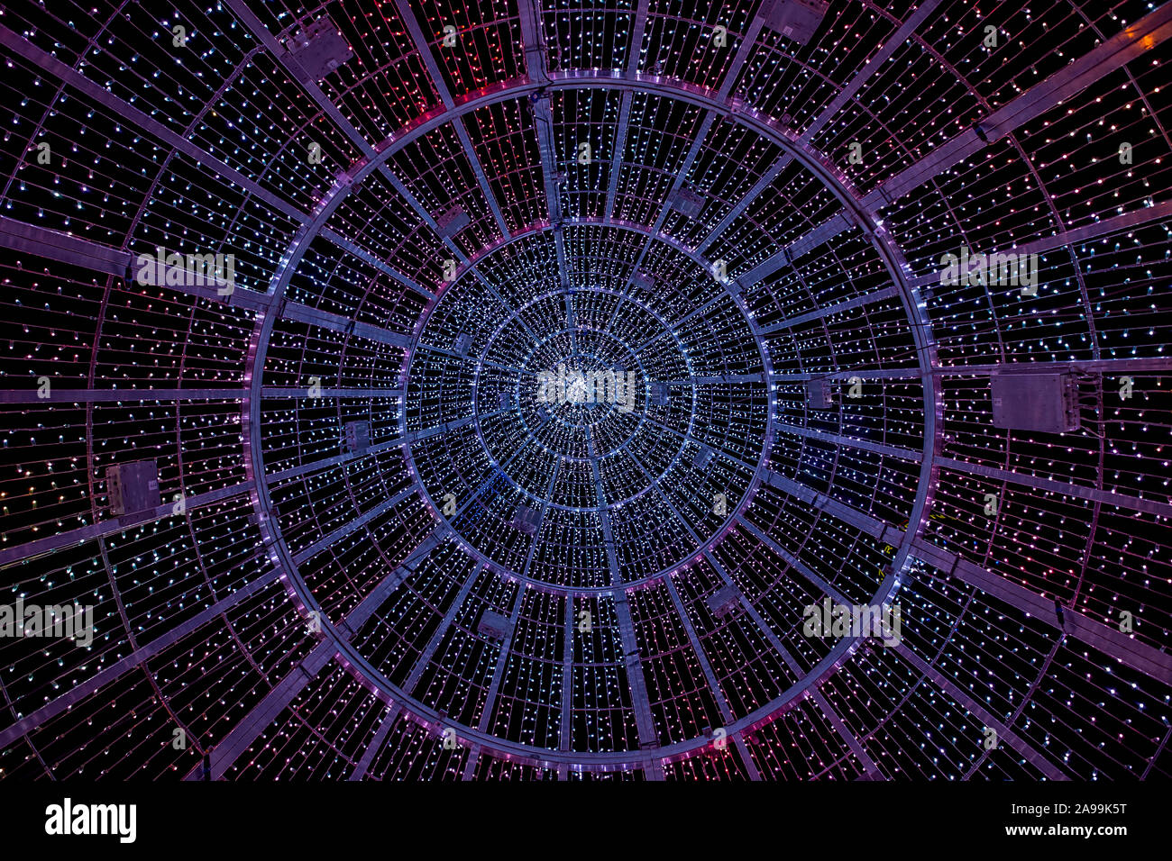 The williamson square walk through christmas tree hi-res stock ...