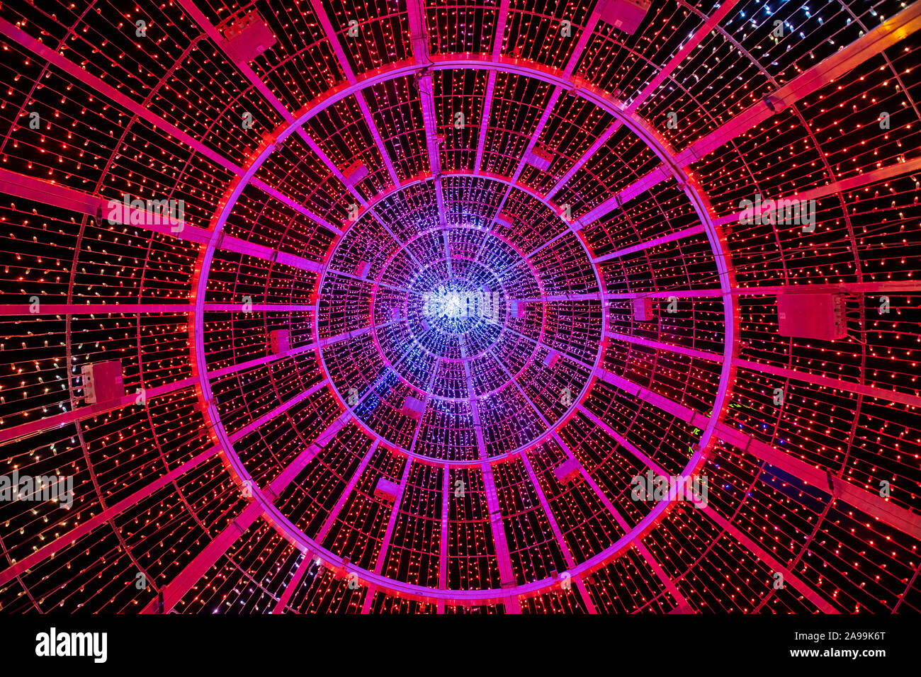 The williamson square walk through christmas tree hi-res stock ...