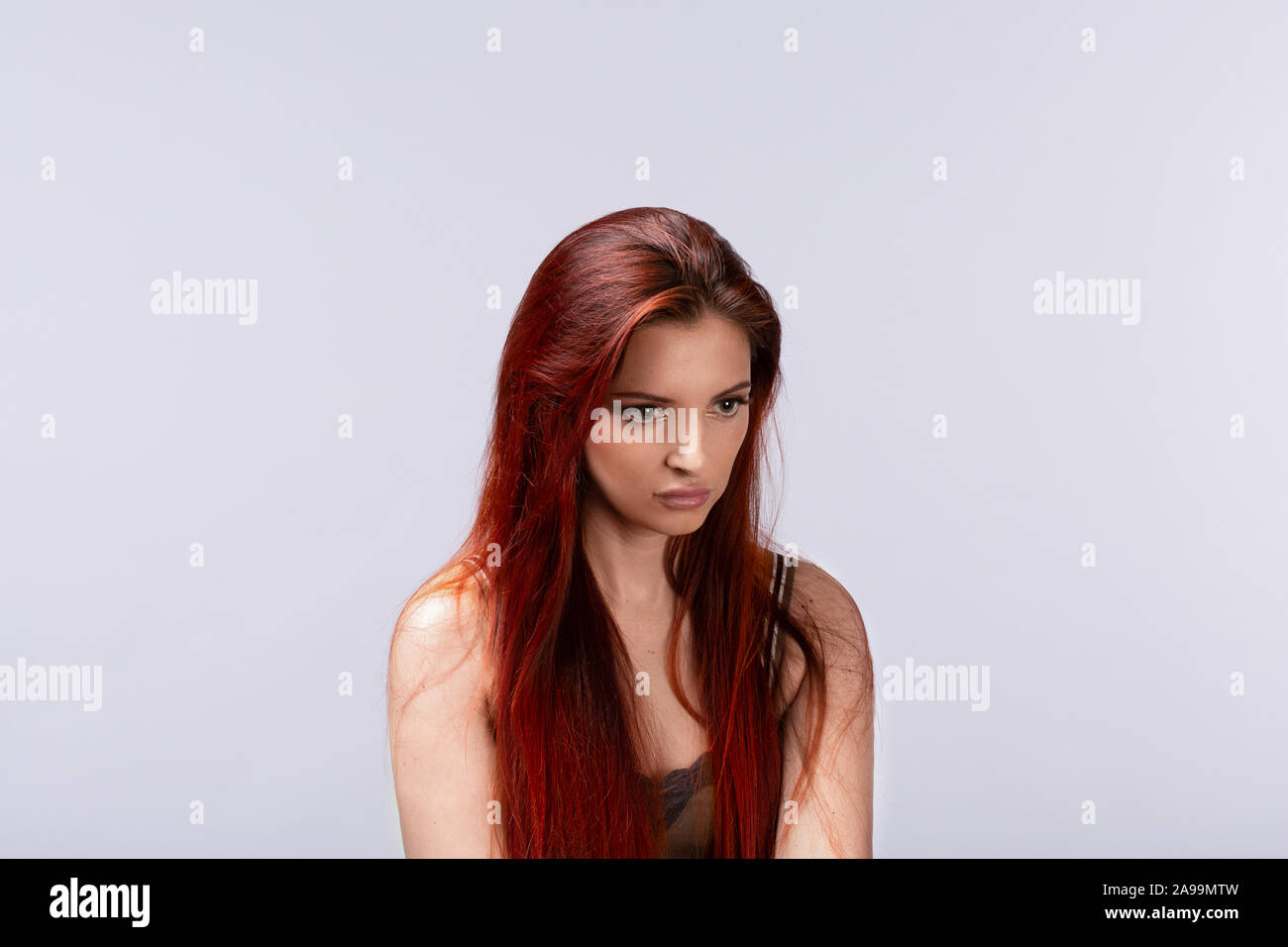 Shrewish hi-res stock photography and images - Alamy