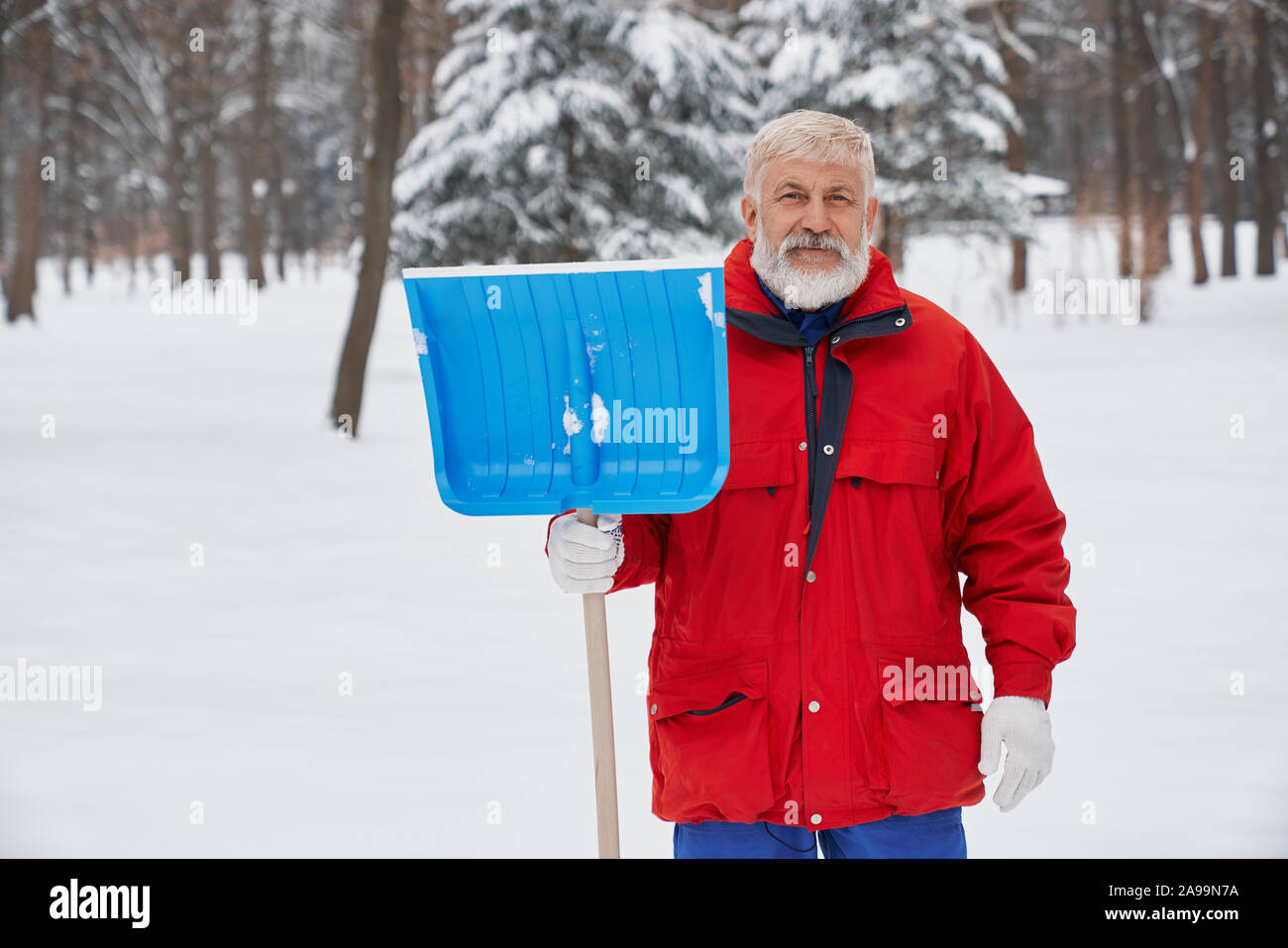 Portrait of elderly, bearded cleaner with blue snow shovel on ... Portrait of elderly, bearded cleaner with blue snow shovel on ...