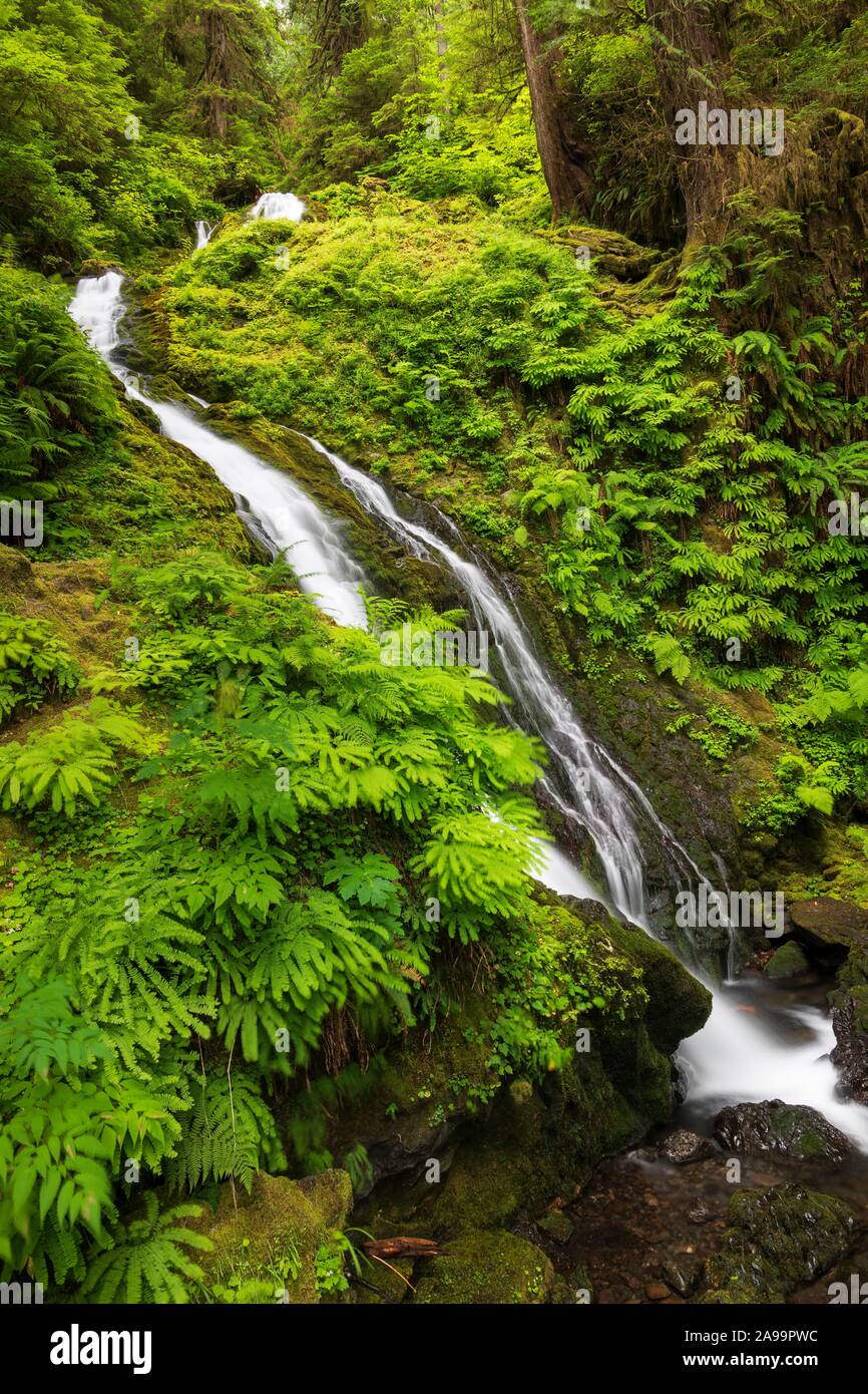 Waterfall olympic national park hi-res stock photography and images - Alamy