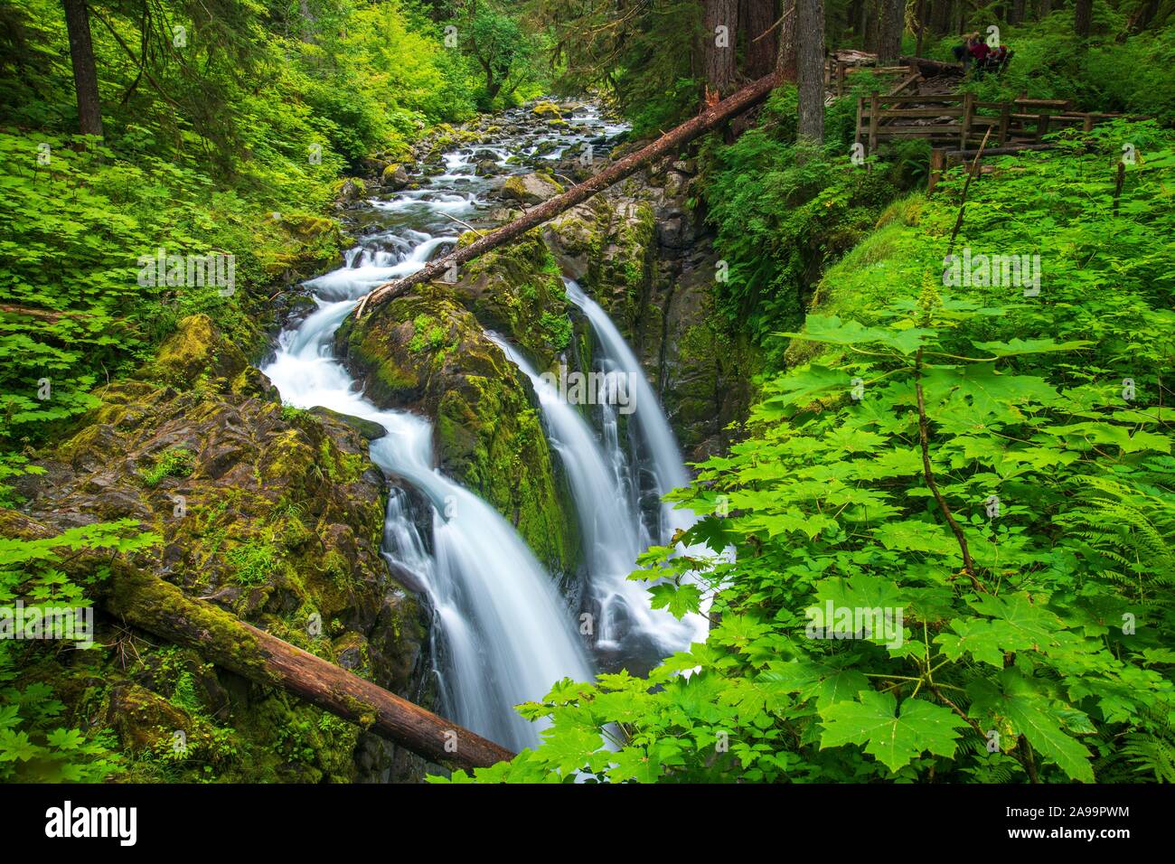 Olympic valley hi-res stock photography and images - Alamy
