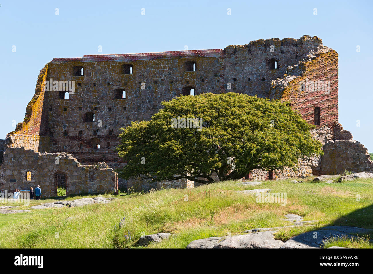 Hammershus, Burgruine, Bornholm, Daenemark Stock Photo - Alamy