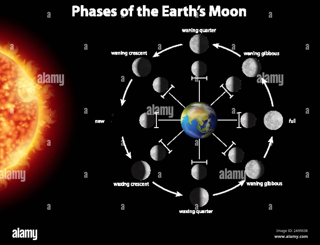 Diagram showing phases of the earth moon illustration Stock Vector ... Diagram showing phases of the earth moon illustration Stock Vector ...