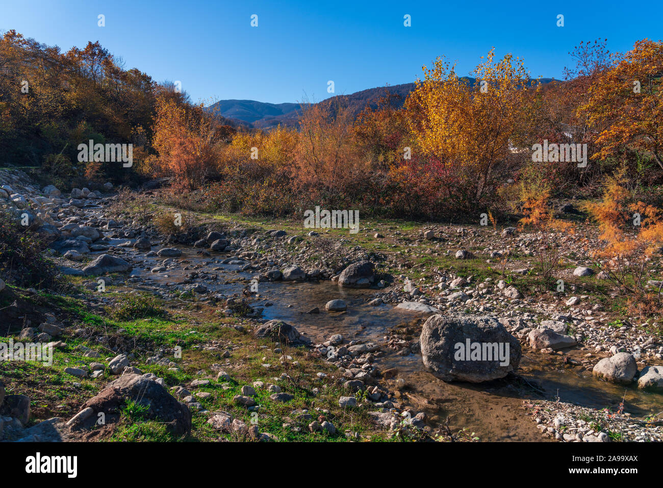 Small mountain river in a forest valley Stock Photo - Alamy
