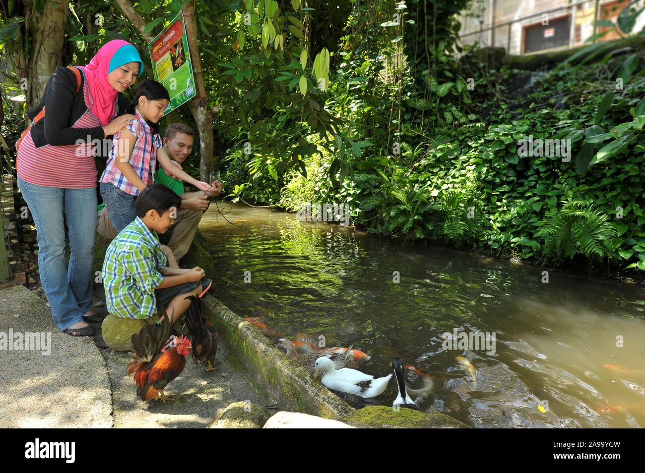 Taiping Town High Resolution Stock Photography and Images - Alamy