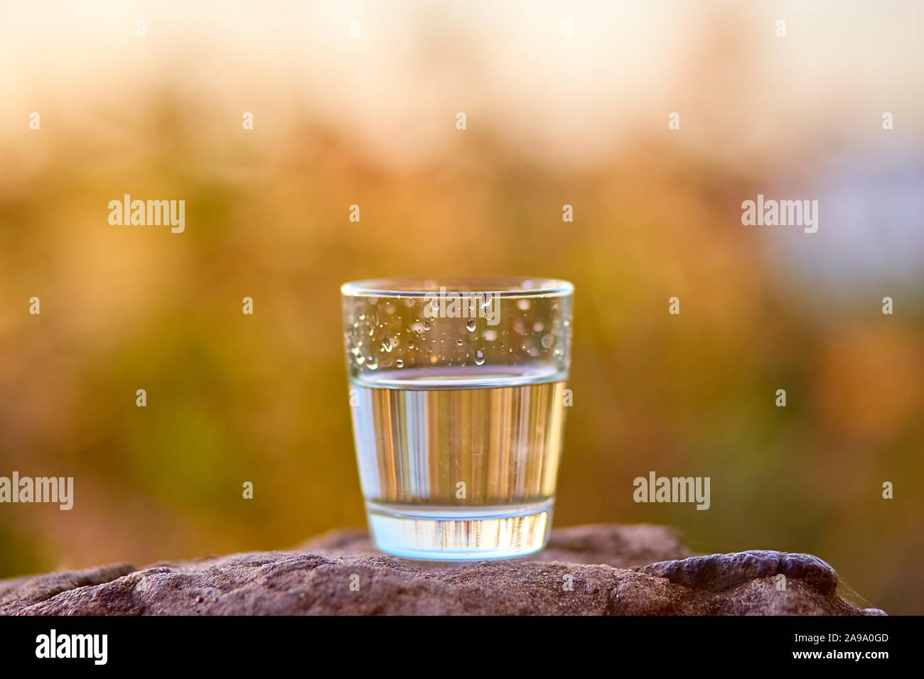 The glass of cool fresh water on nature background Stock Photo - Alamy