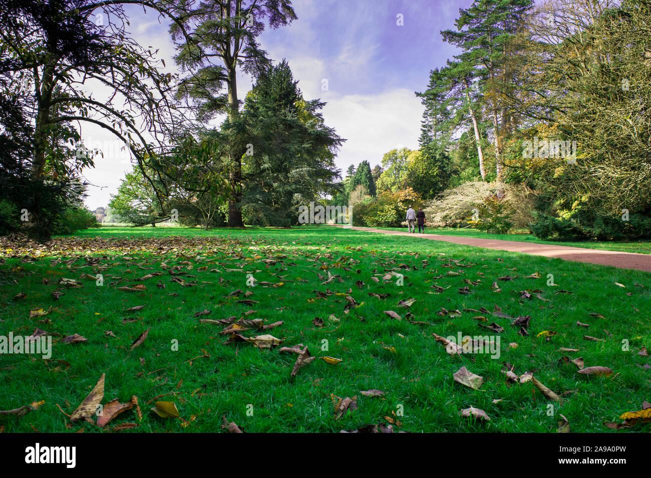 Autumn colours at Westonbirt, The National Arboretum,Gloucestershire ...