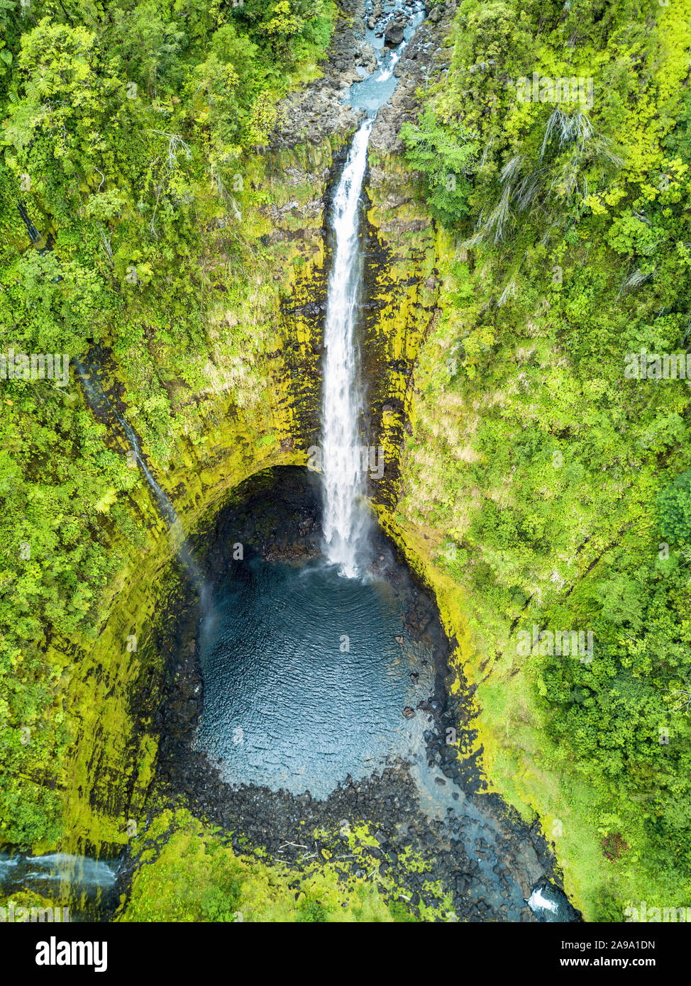 Akaka national park hi-res stock photography and images - Alamy