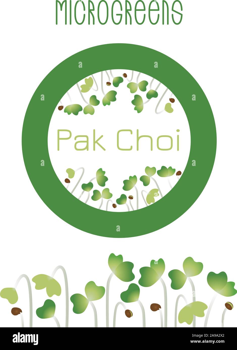 Microgreens Pak Choi. Seed packaging design, round element in the ...