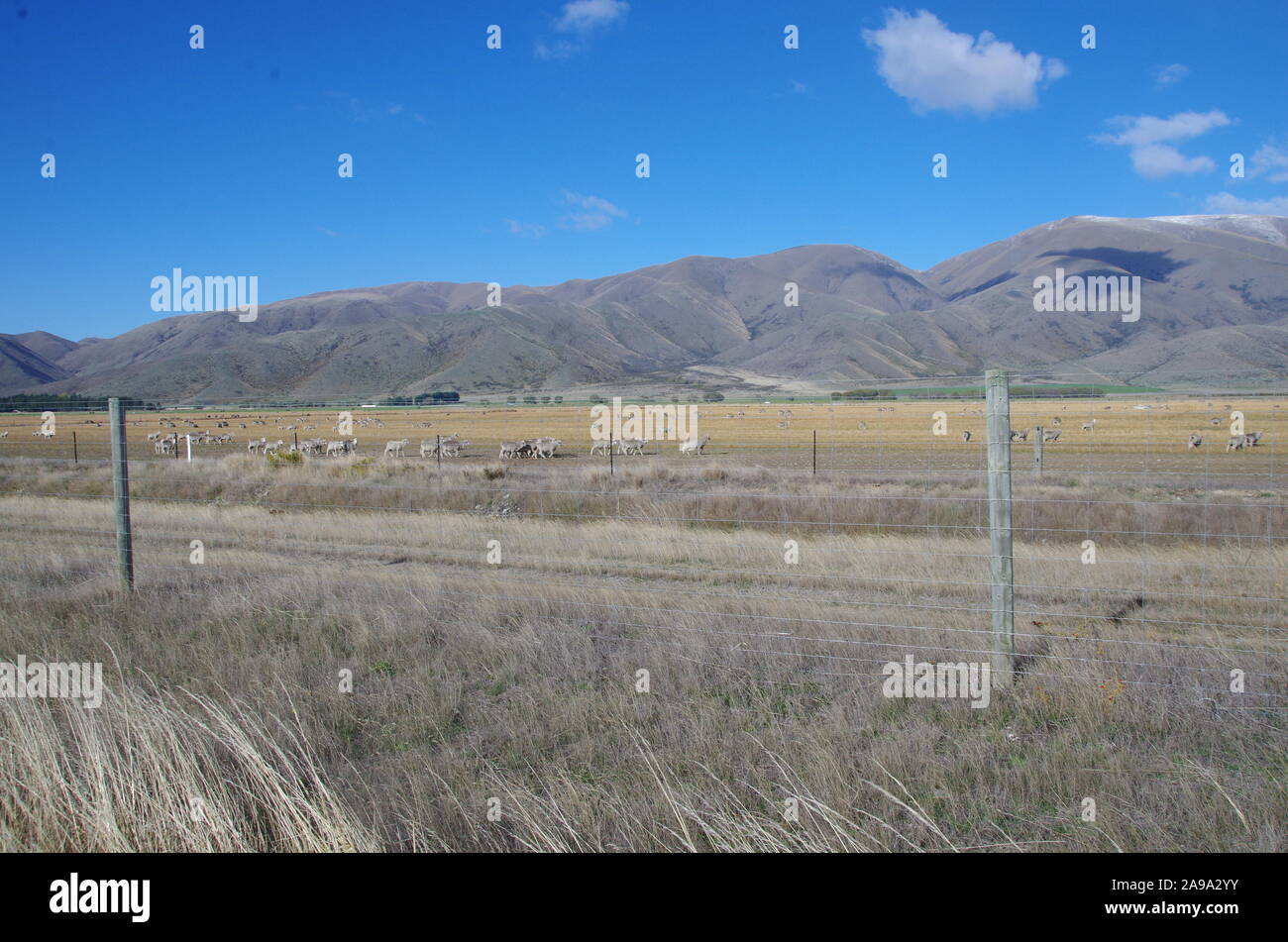 New zealand state highway 8 hi-res stock photography and images - Alamy